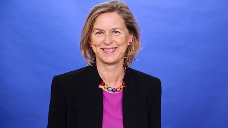 The Deputy Permanent Representative - Federal Foreign Office